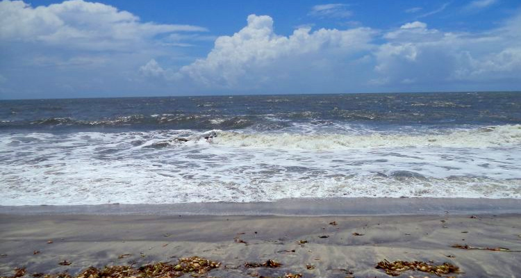 Alleppey Beach (Timings, History, Entry Fee, Images & Information ...