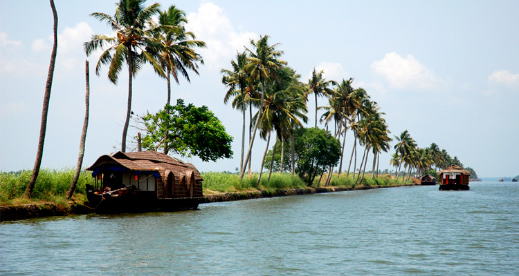 Backwaters Alleppey (Timings, History, Entry Fee, Images & Information ...