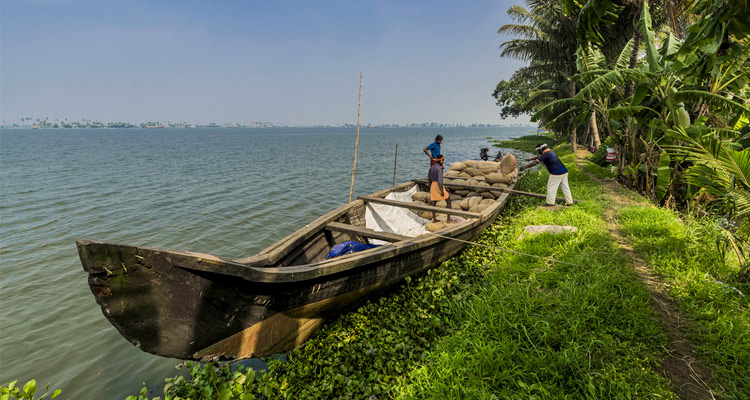 Backwaters Alleppey (Timings, History, Entry Fee, Images & Information ...