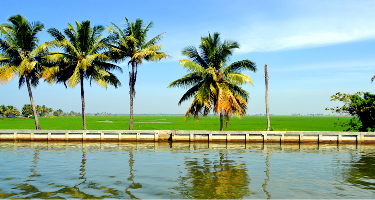 Kuttanad Alleppey (Timings, History, Entry Fee, Images & Information ...