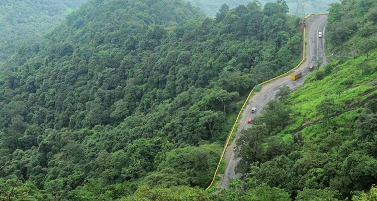 Lakkidi View Point Wayanad (Timings, History, Entry Fee, Images ...