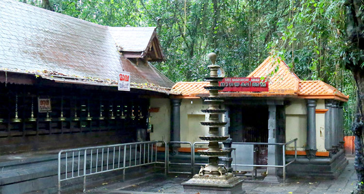 Mannarasala Sree Nagaraja Temple Alleppey (Timings, History, Entry Fee ...