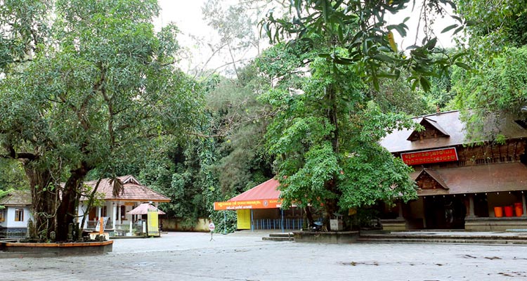 Mannarasala Sree Nagaraja Temple Alleppey (Timings, History, Entry Fee ...