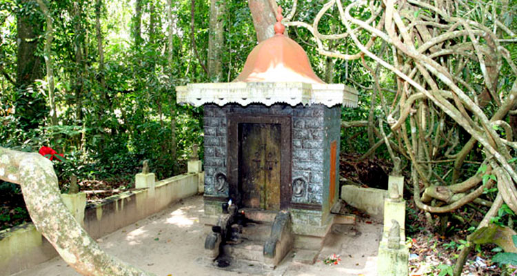 Mannarasala Sree Nagaraja Temple Alleppey (Timings, History, Entry Fee ...