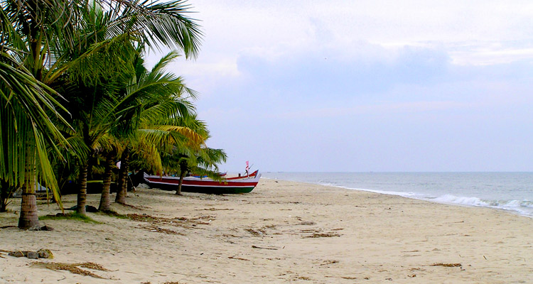 Marari Beach Alleppey (Timings, History, Entry Fee, Images ...