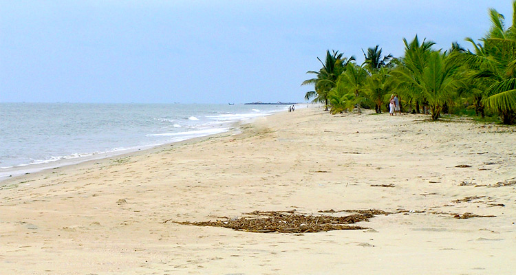 Marari Beach Alleppey (Timings, History, Entry Fee, Images ...