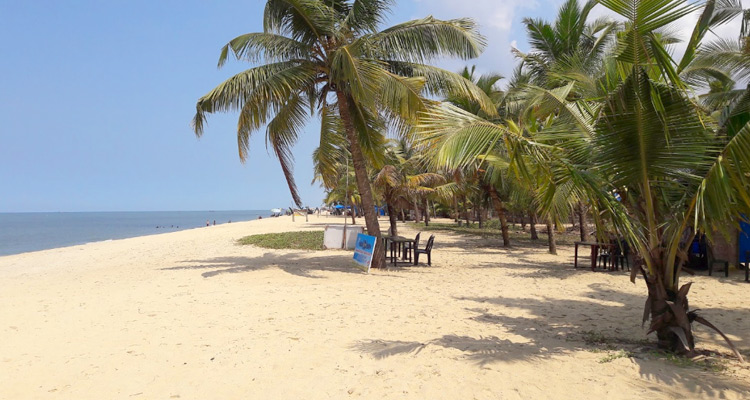 Marari Beach Alleppey (Timings, History, Entry Fee, Images ...
