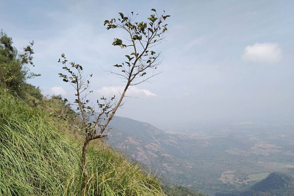 Pandikuzhi Thekkady (Timings, History, Entry Fee, Images & Information ...