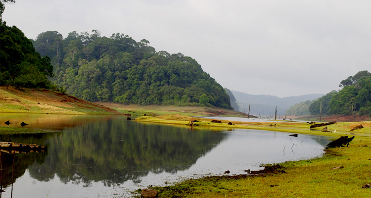 Periyar Lake Thekkady (Timings, History, Entry Fee, Images ...