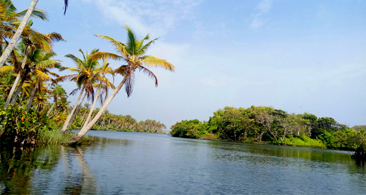 Poovar Island Trivandrum (Timings, History, Entry Fee, Images ... Poovar Island Trivandrum (Timings, History, Entry Fee, Images ...