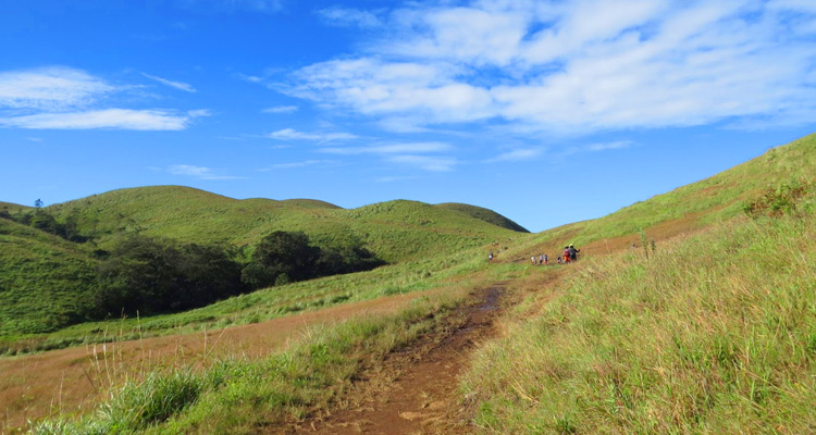 Pullumedu Thekkady (Timings, History, Entry Fee, Images & Information ...