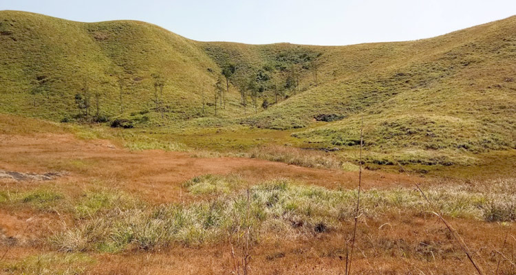 Pullumedu Thekkady (Timings, History, Entry Fee, Images & Information ...