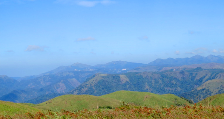 Pullumedu Thekkady (Timings, History, Entry Fee, Images & Information ...