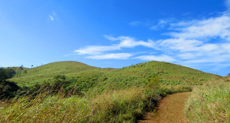 Pullumedu Thekkady (Timings, History, Entry Fee, Images & Information ...