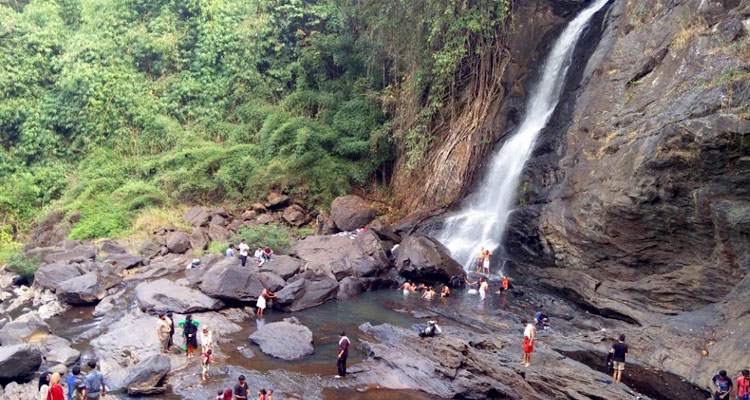 Soochipara Falls Wayanad (Timings, History, Entry Fee, Images ...